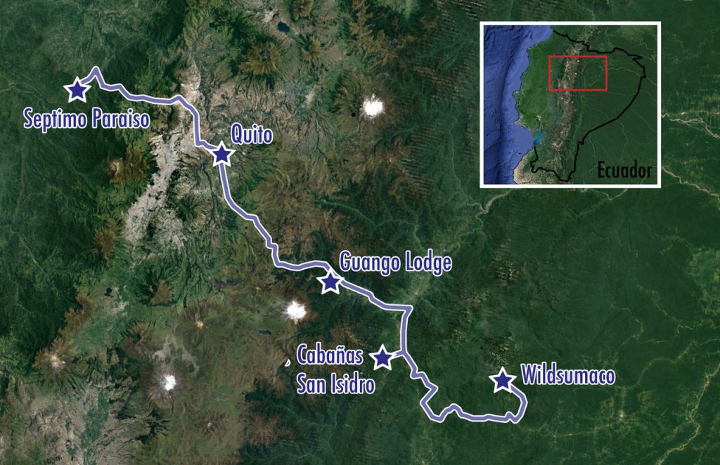 Ecuador: Exploring the Northern Andes - Sabrewing Nature Tours