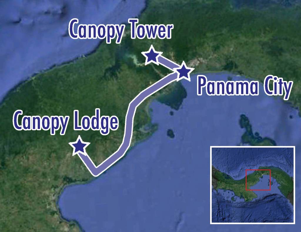 Panama: Canopy Lodge and Tower - Sabrewing Nature Tours