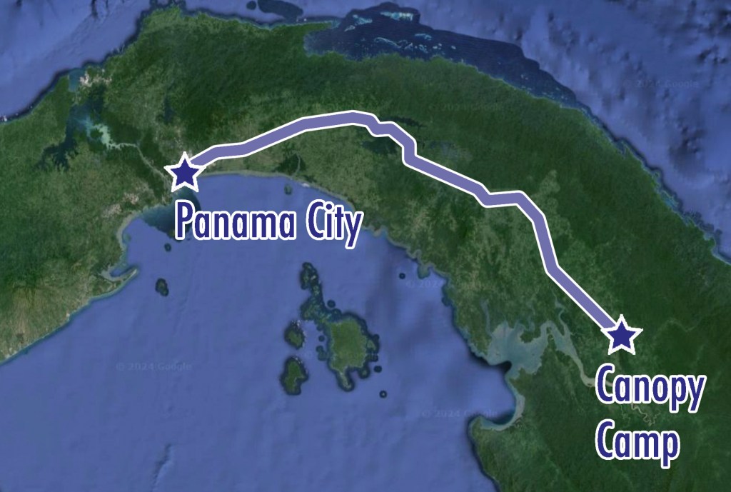 Panama: Canopy Camp - Sabrewing Nature Tours